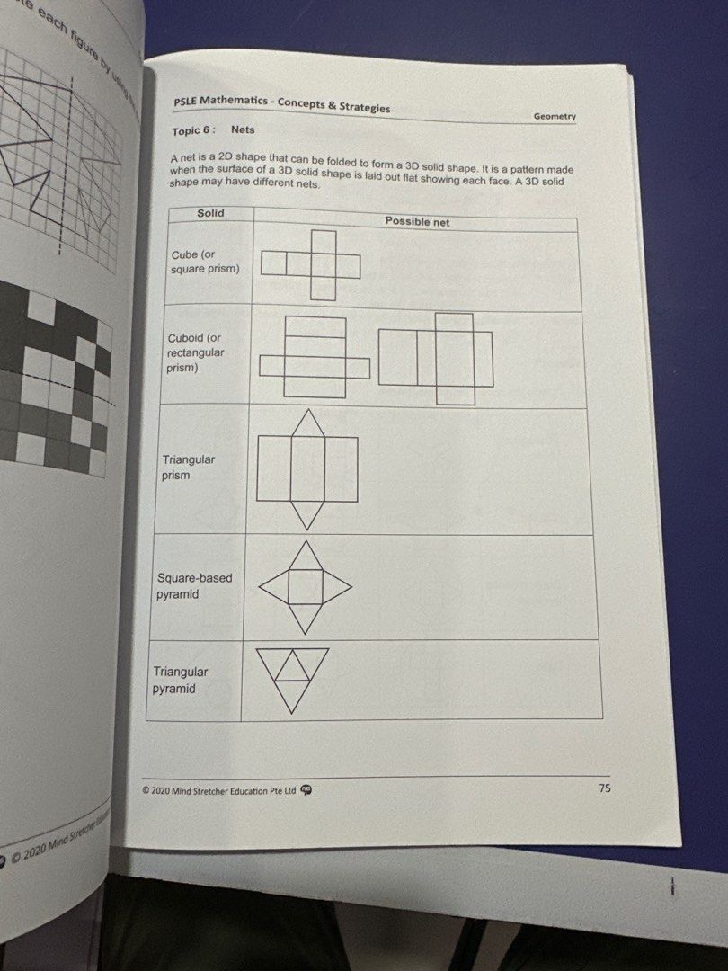 Mind Stretcher PSLE Mathematics Concepts & Strategies - Primary 6 ...