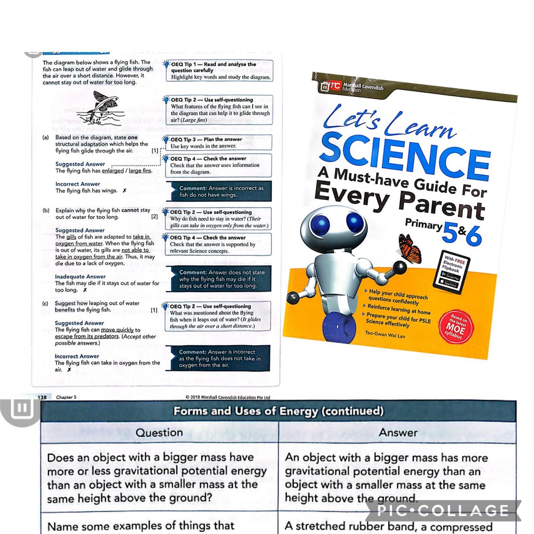 PSLE SCIENCE STUDY GUIDE - Let's Learn Science for Every Parent Primary 5 & 6, Hobbies & Toys ...