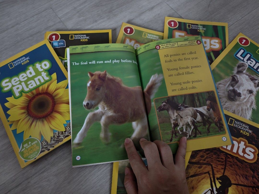 18 National Geographic Kids Level 1 Books, Hobbies & Toys, Books ...
