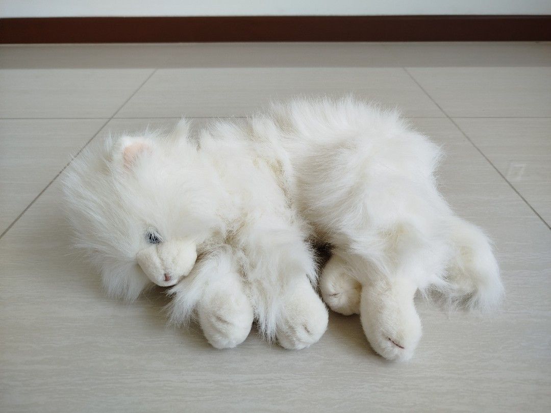 Mini Toons Fluffy White Cat Soft Toy, Hobbies & Toys, Toys & Games on ...