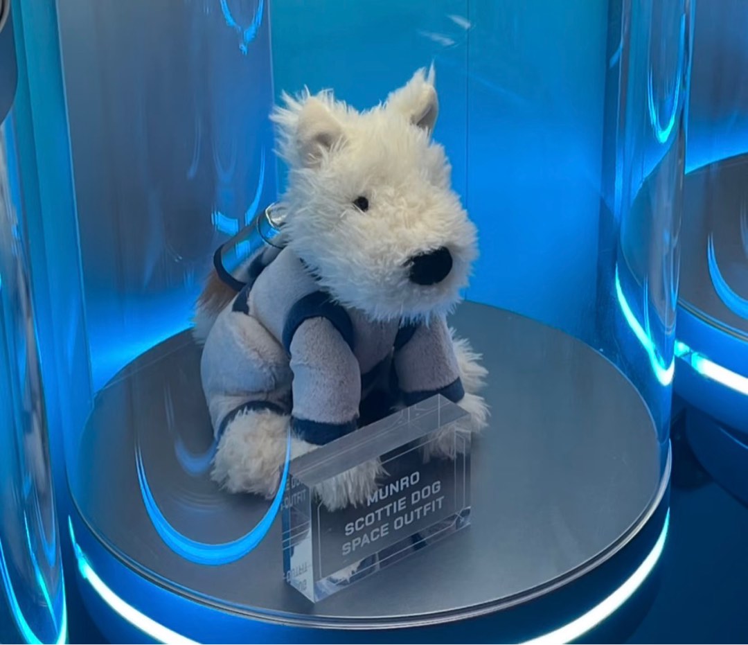 [po] Korea Exclusive Munro Space Outfit Jellycat, Hobbies & Toys, Toys ...