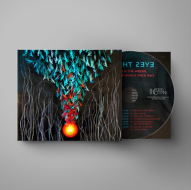 CD / Bright Eyes - Down In The Weeds, Where The World Once Was ...