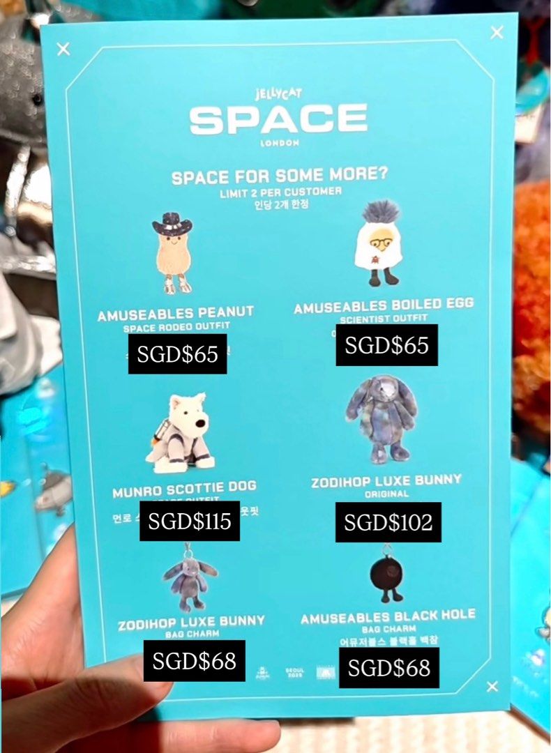 Jellycat Space Collection Seoul Pop Up Exclusive, Hobbies & Toys, Toys ...