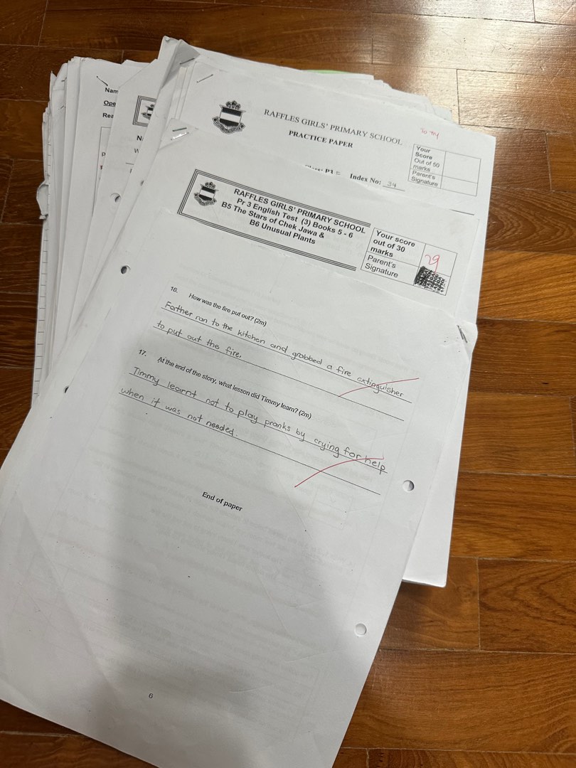 Raffles Girls' Primary School P3 English notes and practice paper ...