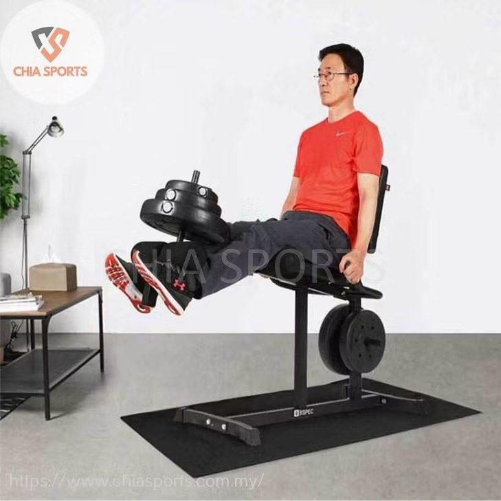 Seated leg extension machine, Sports Equipment, Exercise & Fitness ...