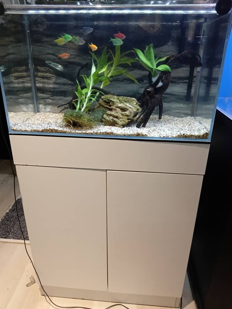 Akuarium full set cc tank saiz 90 x 45 x 45(No pump) Dan 60 x 30 x 30 ...