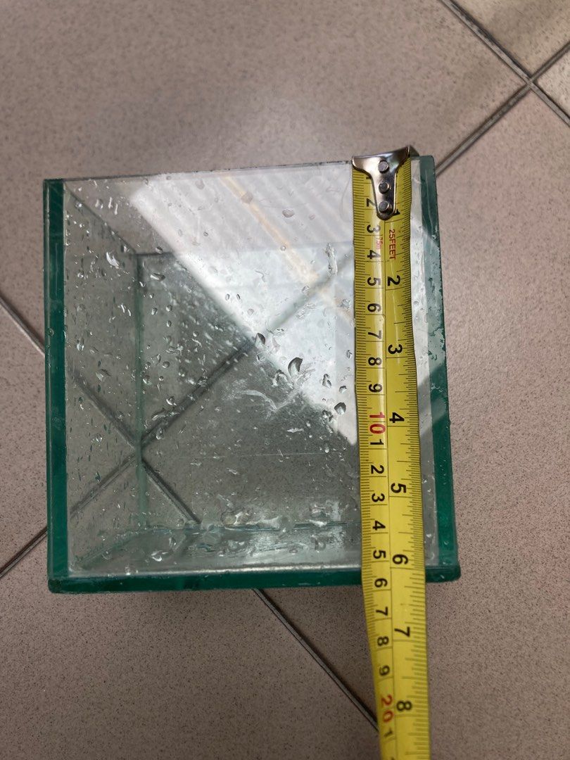 Beta fish Small Glass Aquarium Tank, Pet Supplies, Homes & Other Pet ...