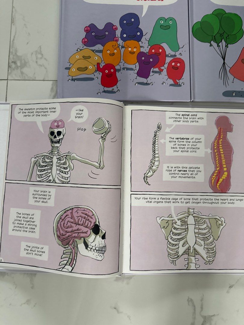 Human Body Science Books - Set of 8, Hobbies & Toys, Books & Magazines ...