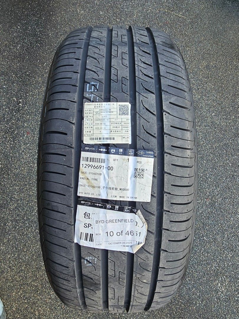 Original BYD Sealion 6 Rim w/ Radar Dimax AS-8 Tire + Extra Brand-New ...