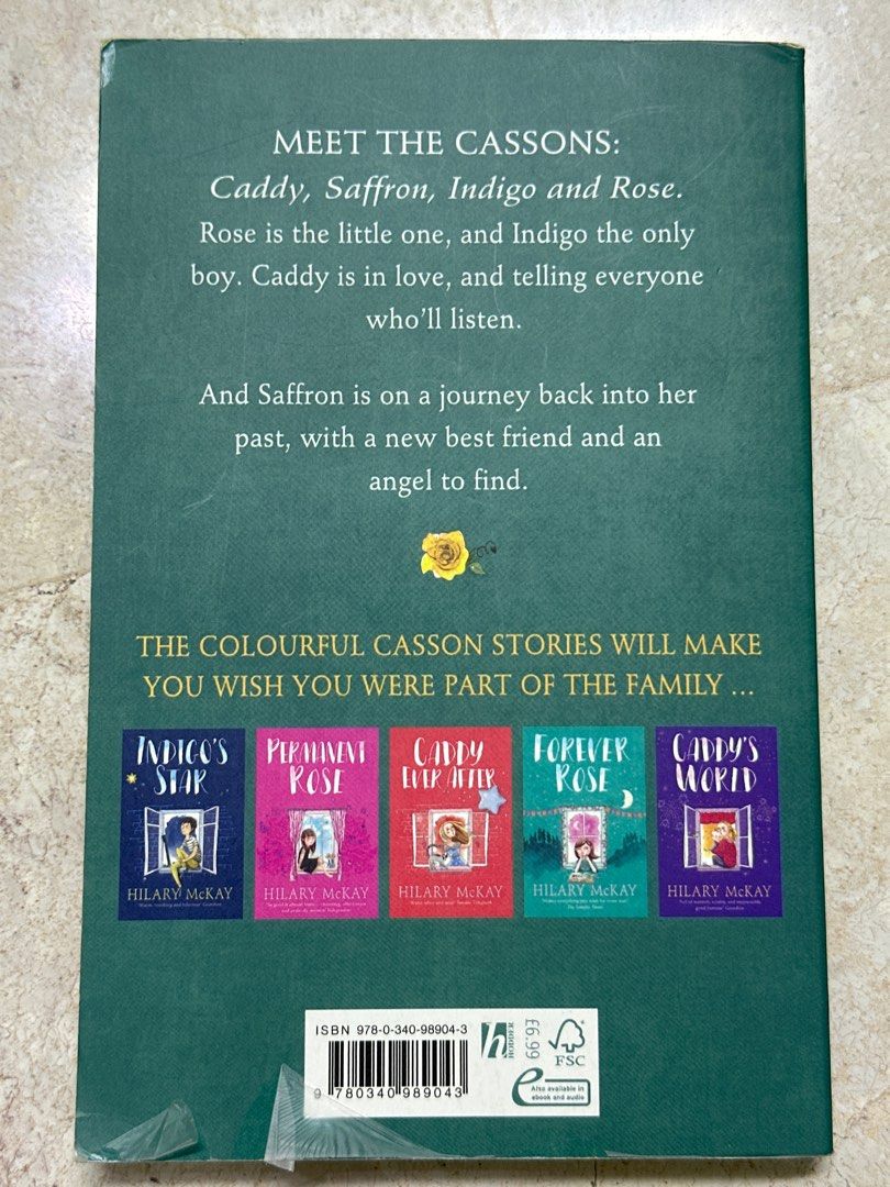 Saffy's Angel by Hilary McKay, Hobbies & Toys, Books & Magazines ...