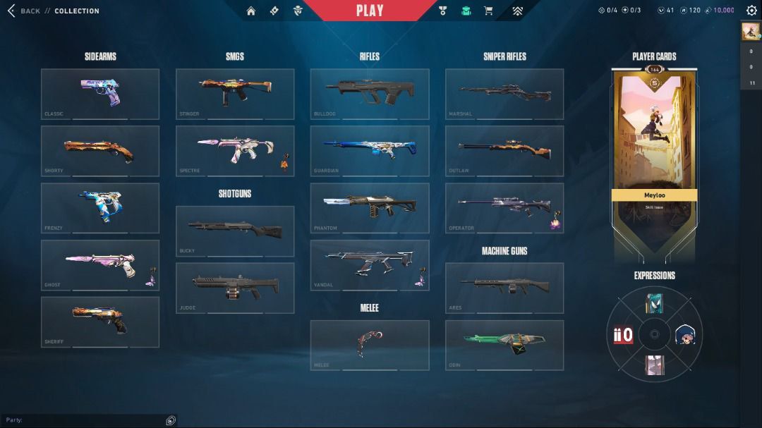 Valorant In-Game Collection - Player Card & Skins, Video Gaming, Video ...