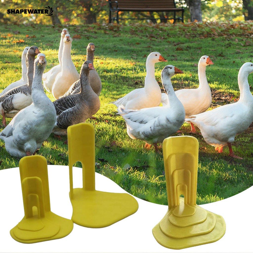 Chick and duck splay leg brace, for curled toes, Pet Supplies, Homes ...