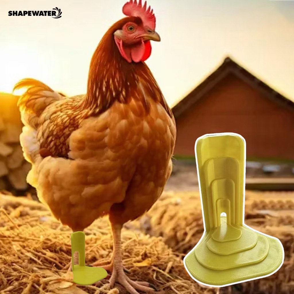 Chick and duck splay leg brace, for curled toes, Pet Supplies, Homes ...
