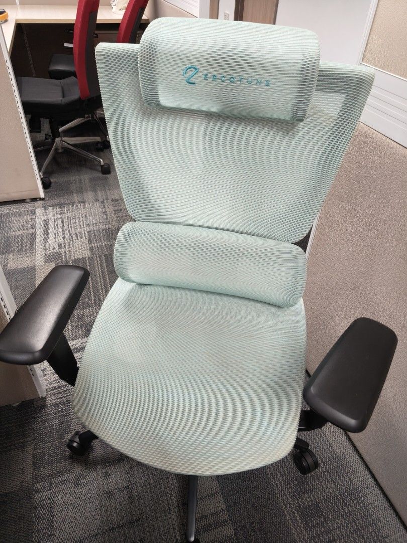 Ergotune Ergonomic Office Chair - Mint Green, Furniture & Home Living ...