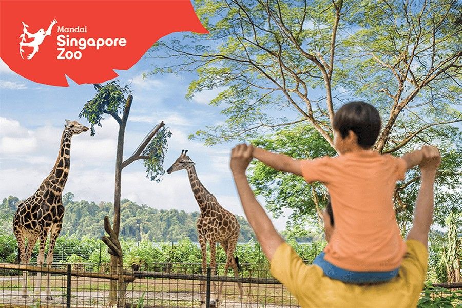 2 Mandai Singapore Zoo e-Tickets, Tickets & Vouchers, Local Attractions ...