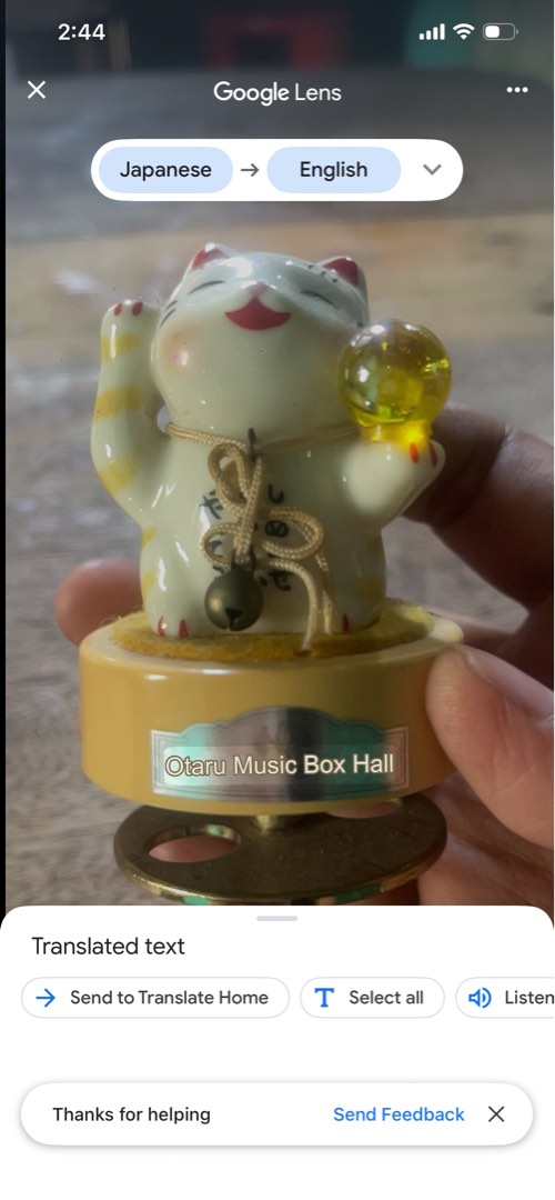 Otaru Music Box Hall Maneki Neko Music Box, Hobbies & Toys, Memorabilia ...