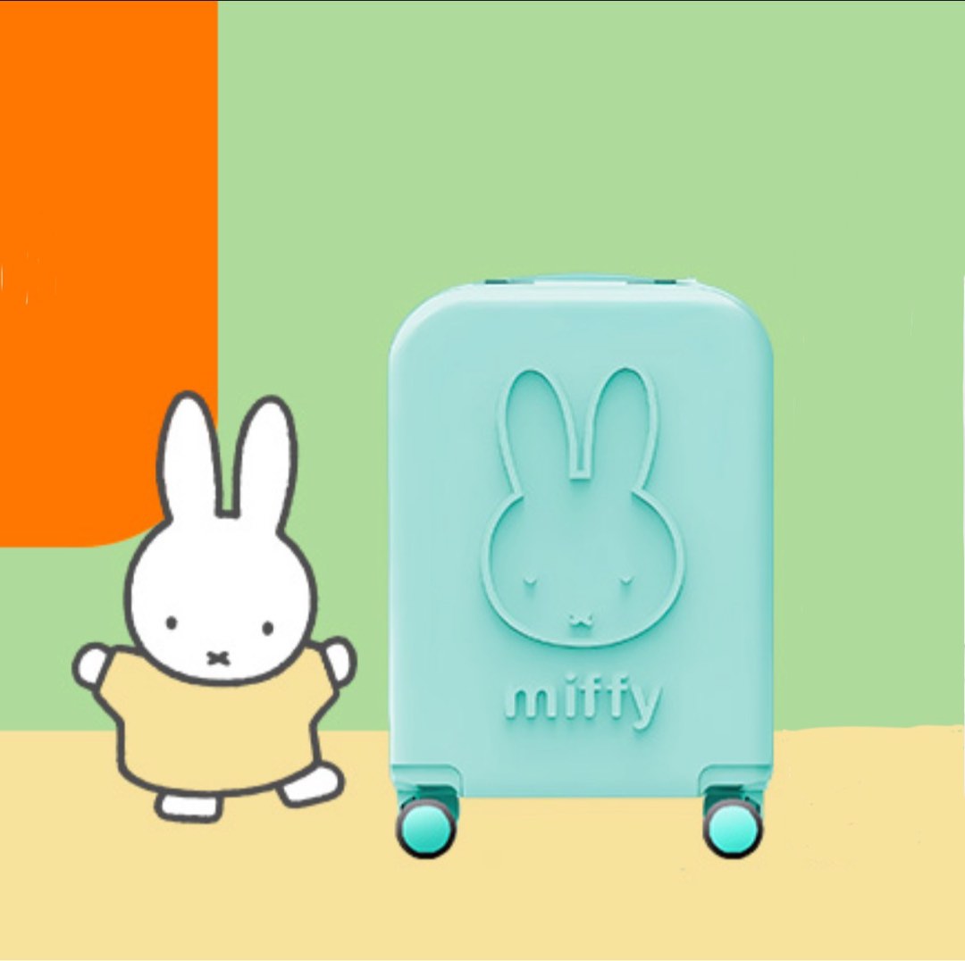 20” Miffy Cabin Luggage - Blue, Hobbies & Toys, Travel, Luggage on ...