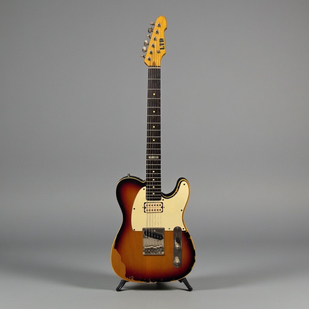 ESP LTD TELECASTER TE-202, UPGRADED, Hobbies & Toys, Musical ...