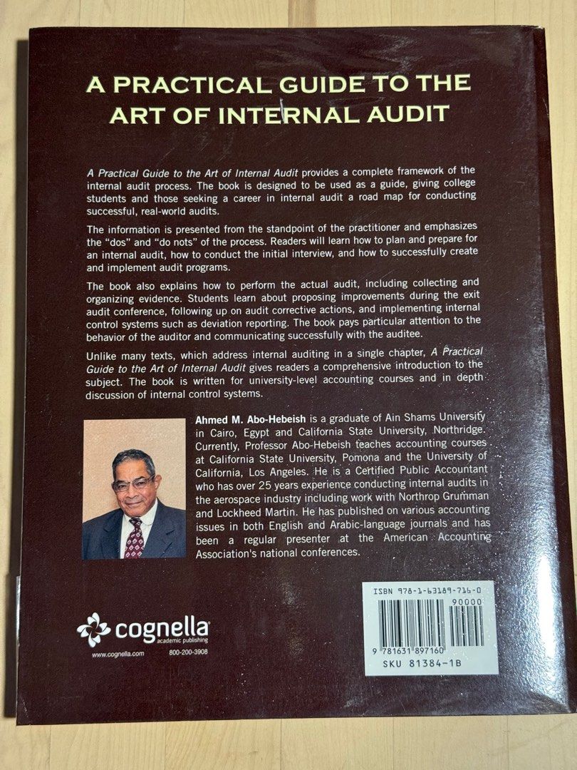 A Practical Guide to the Art of Internal Audit - First Edition, Hobbies ...