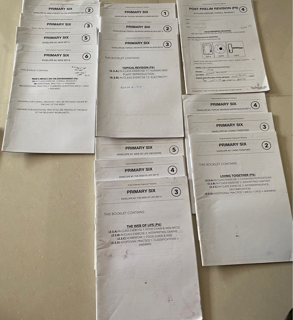 p6 psle science mcq oeq, Hobbies & Toys, Books & Magazines, Assessment ...