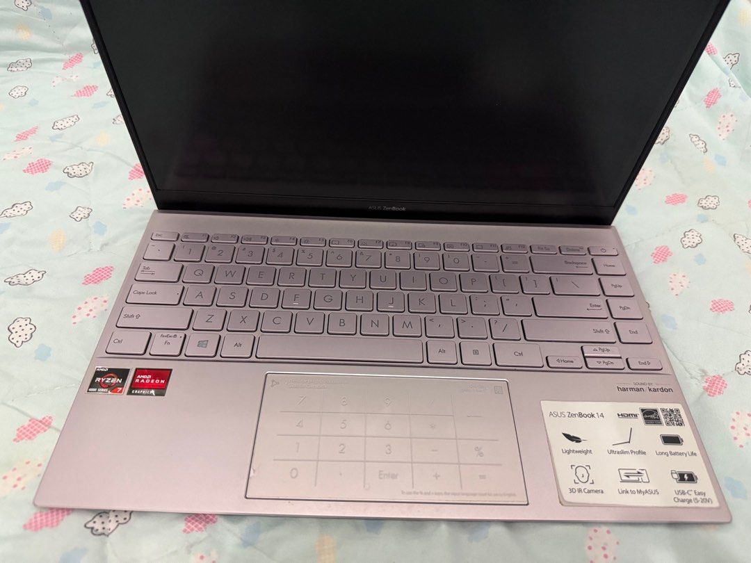 ASUS Zenbook 14 UX425IA - AMD Ryzen 7, Computers & Tech, Laptops ...