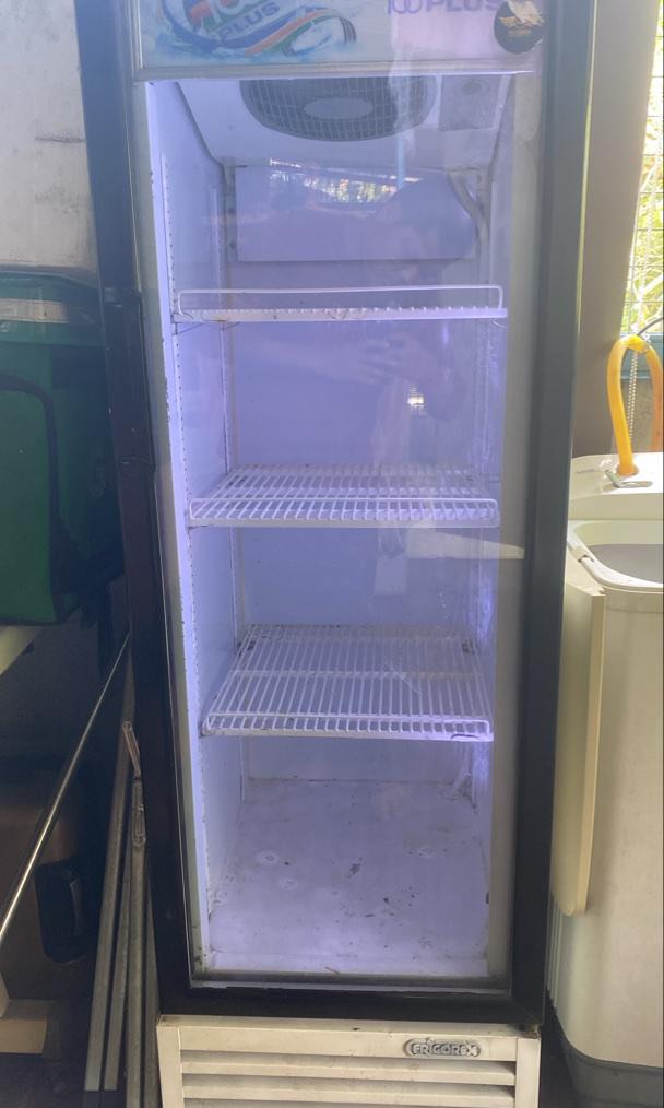 Frigorex Display Fridge, TV & Home Appliances, Kitchen Appliances ...