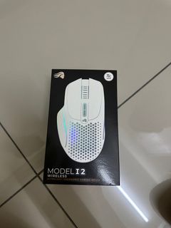 Glorious Model O- Wireless Gaming Mouse, Computers & Tech, Parts ...