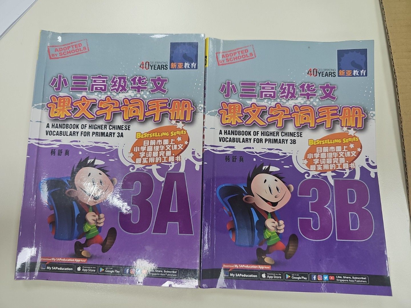 Primary 3A/3B Higher Chinese Vocabulary Handbook, Hobbies & Toys, Books ...