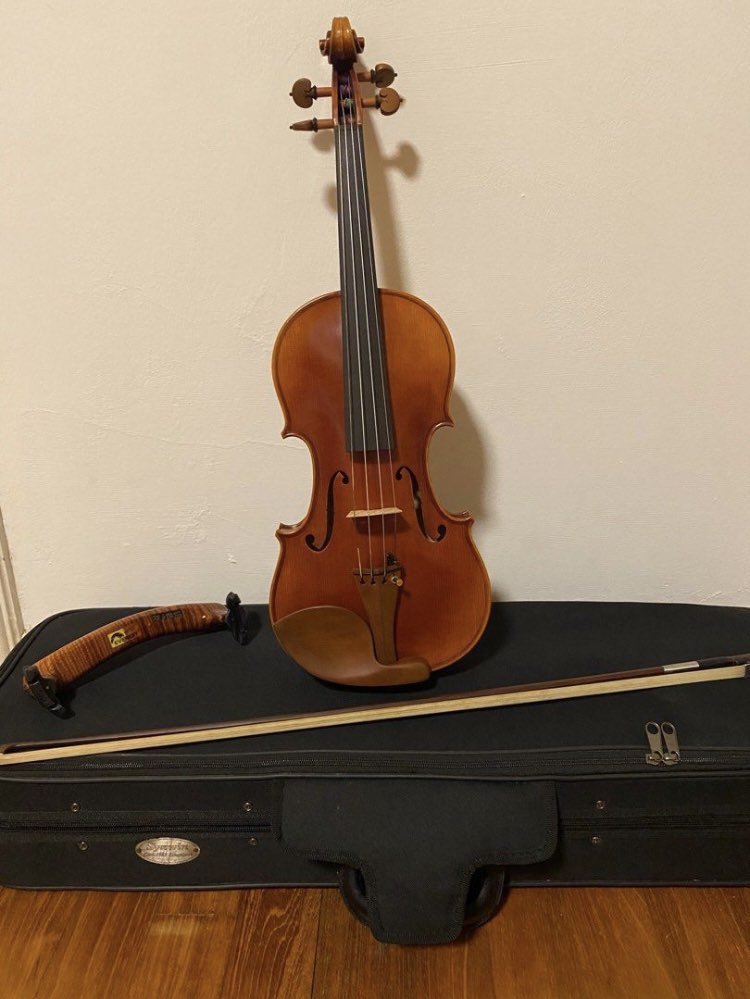 Yamaha Acoustic Violin V20G 4/4 with Case, bow & shoulder rest, Hobbies ...