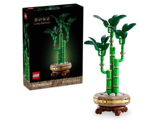 LEGO 10311 Orchid Botanical Collection Set, Hobbies & Toys, Toys ...