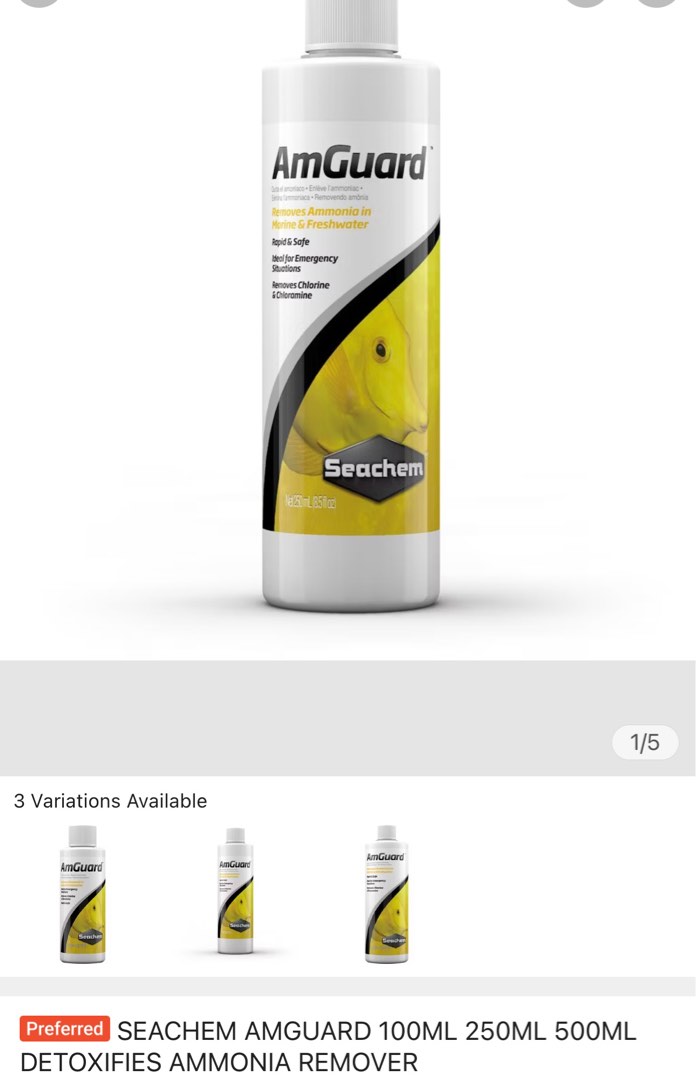 Seachem AmGuard Ammonia Remover - Various Sizes, Pet Supplies, Homes ...