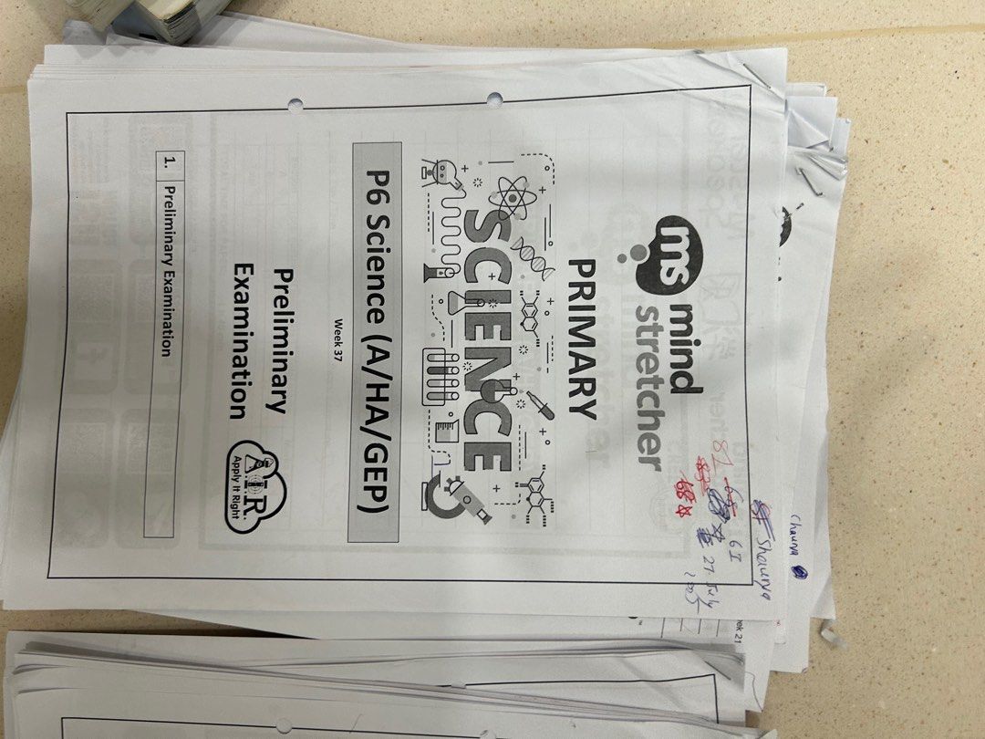 P6 Science Mind Stretcher Worksheets, Hobbies & Toys, Books & Magazines ...