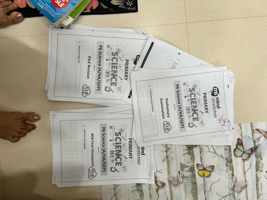 P6 Science Mind Stretcher Worksheets, Hobbies & Toys, Books & Magazines ...