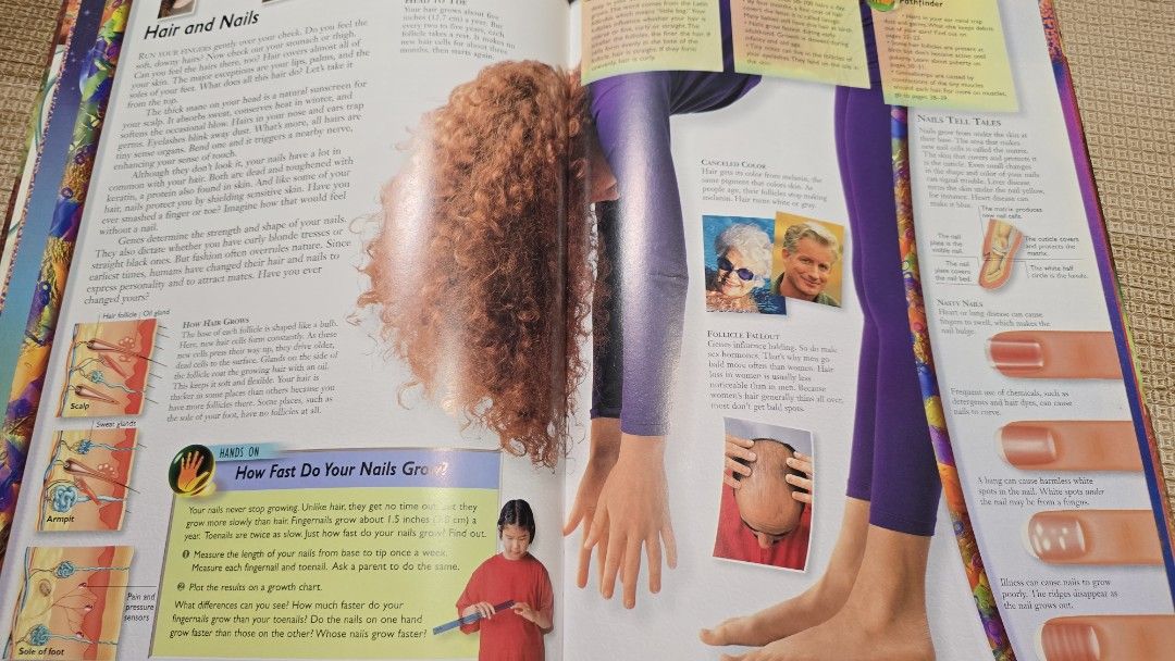 4 books about human body for lower primary kids, Hobbies & Toys, Books ...