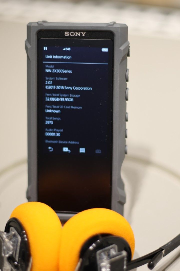 Sony NW-ZX300 Series Walkman Audio Player, Audio, Portable Music ...