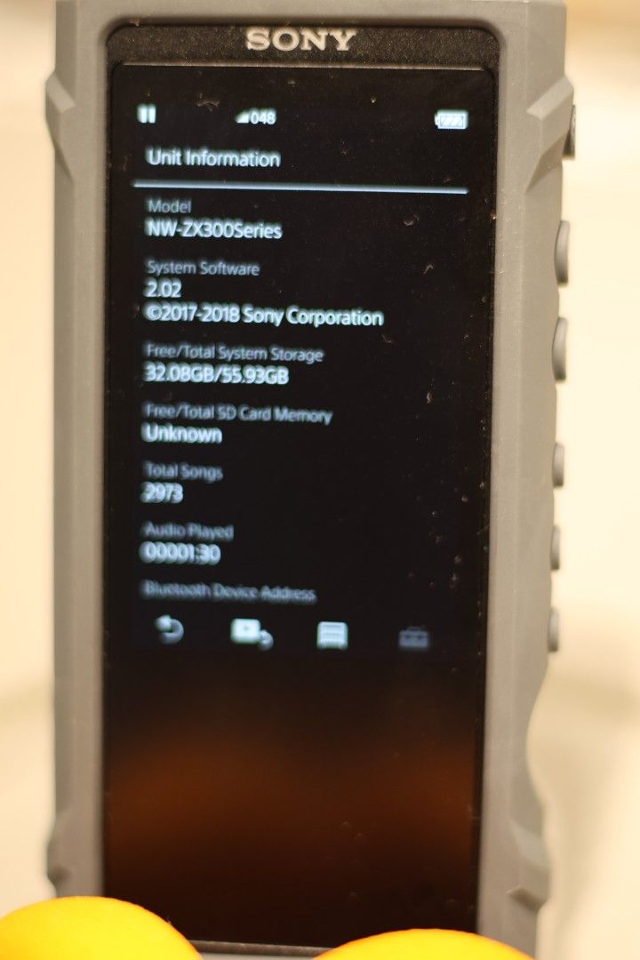 Sony NW-ZX300 Series Walkman Audio Player, Audio, Portable Music ...