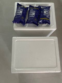 Styrofoam box cooler For Sale | Carousell Singapore