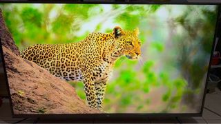 Xiaomi P1 Android TV 32” 32 inch, TV & Home Appliances, TV ...