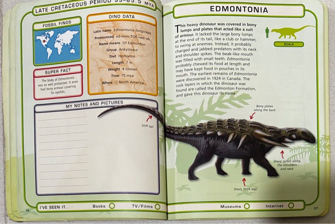 Miles Kelly Dinosaurs Handbook & Flying Monsters Book Set, Hobbies ...
