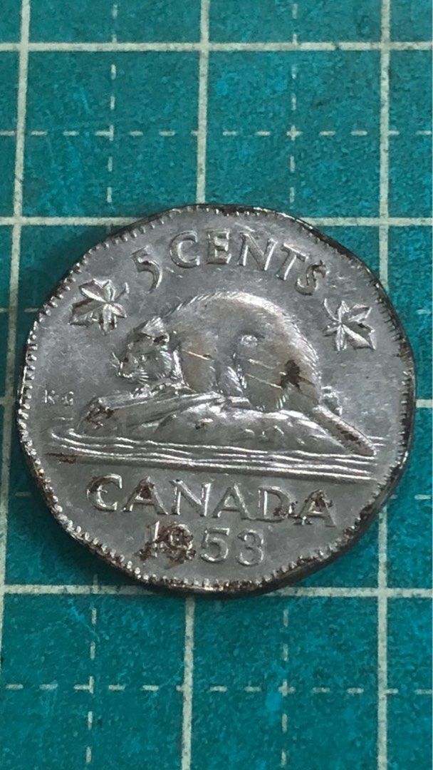 📣🈹Sale 15% disc/Fixed Price Canada 5 cents 1953, chromium plated steel ...