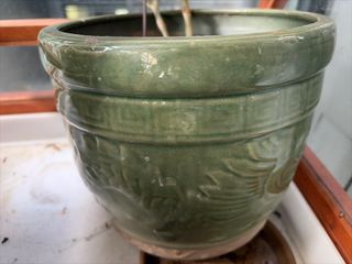 Orange Ceramic Pots - Set of 2, Furniture & Home Living, Gardening ...