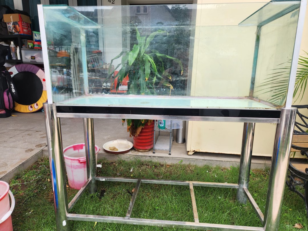 Large Glass 4x2 feet Fish Tank with Stand with stainless steel frames ...