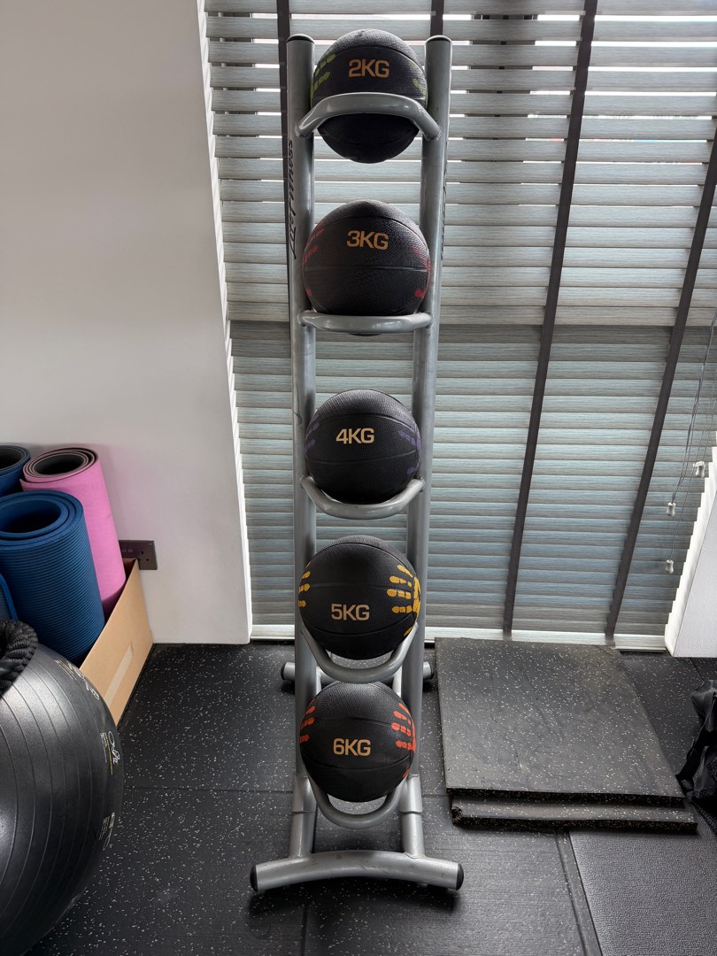 Medicine Ball Set (2kg–6kg) with Sturdy LifeFitness Rack, Sports ...