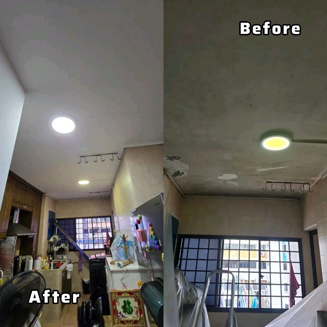 plaster/touch up plaster/toilet ceiling mould problem/anti fungal ...