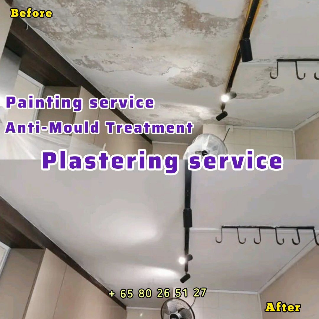 plaster/touch up plaster/toilet ceiling mould problem/anti fungal ...