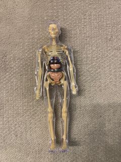 Anatomy Essentials: Pose and Draw, Hobbies & Toys, Books & Magazines ...