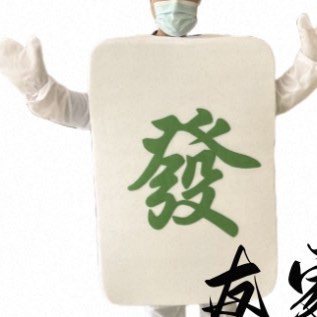 mahjong costume, Hobbies & Toys, Occasions & Party Supplies on Carousell