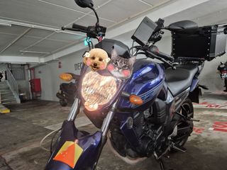 Yamaha Fazer FZ1 1S spoiler fume, Motorcycles, Motorcycle Accessories ...