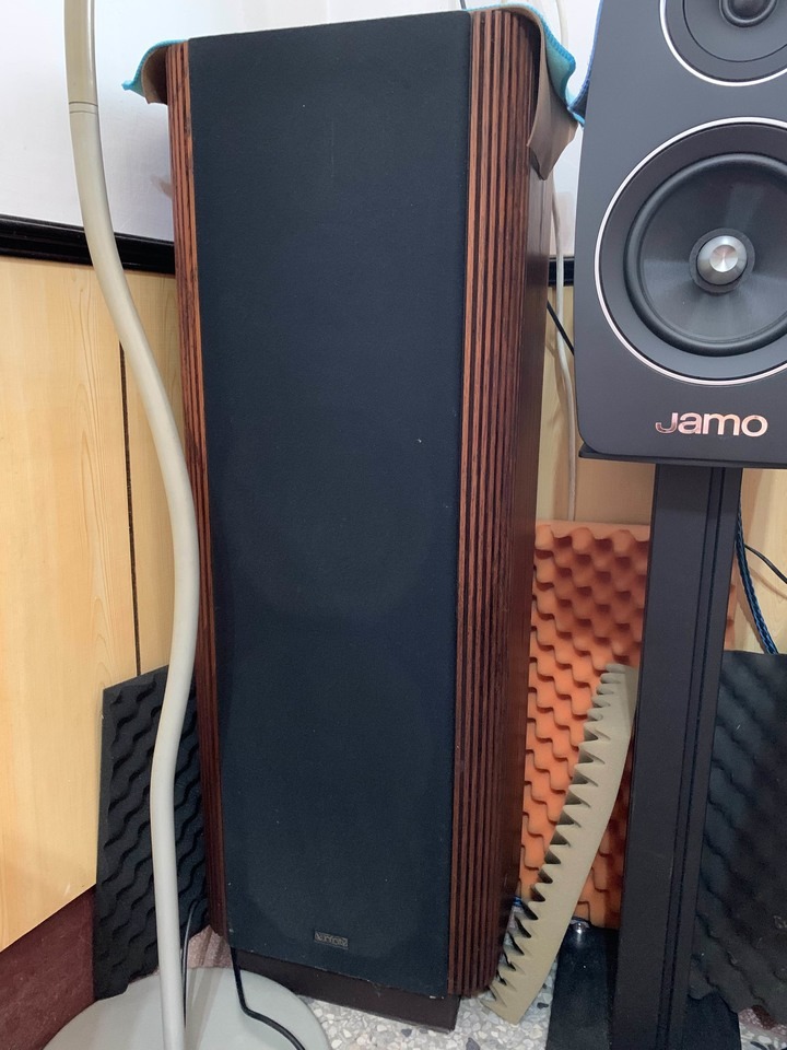 美國 Infinity Polydome RS4B Floor Standing Speakers落地式、實木、三音路喇叭, 耳機及錄音音訊 ...