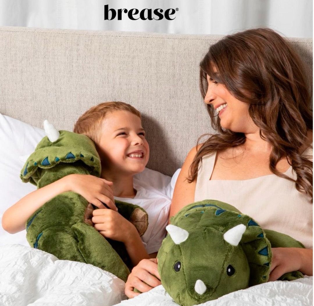 Brease Dinosaur Plush Toy FIDGET JELLYCAT AURORA TY BEANIE COLLECTOR ...